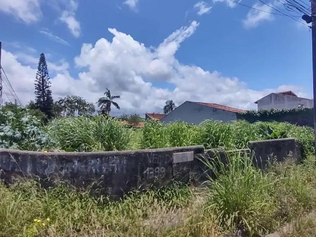 Terreno / Lote para Venda em Peruíbe/SP Centro