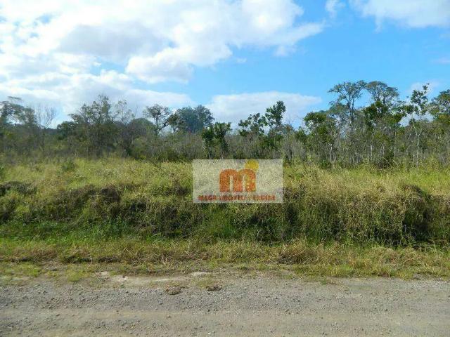 Terreno / Lote para Venda em Peruíbe/SP Cidade Nova Peruibe