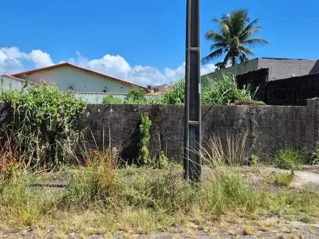 Terreno / Lote para Venda em Peruíbe/SP Cidade Nova Peruibe