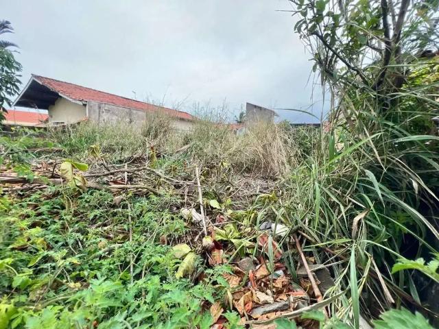 Terreno / Lote para Venda em Peruíbe/SP Cidade Nova Peruibe