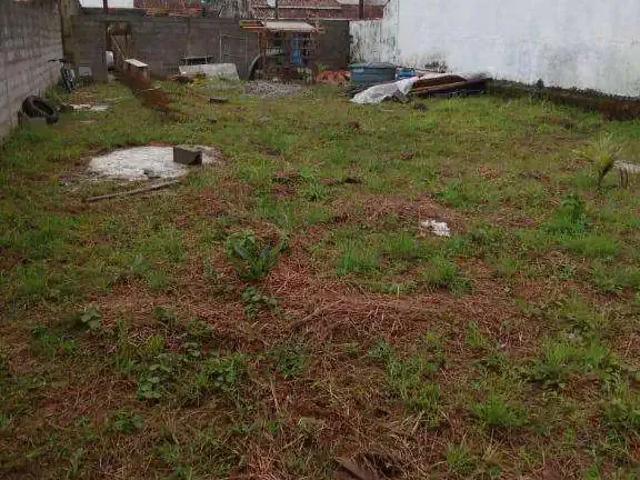 Terreno / Lote para Venda em Peruíbe/SP Cidade Nova Peruibe