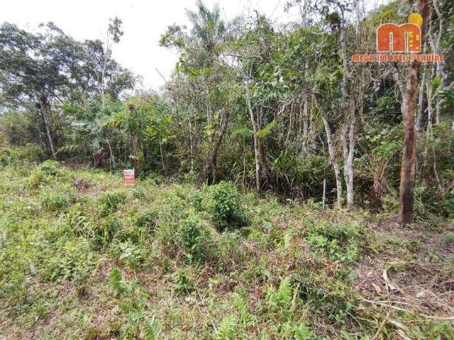 Terreno / Lote para Venda em Peruíbe/SP Cidade Nova Peruibe