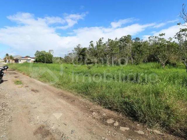 Terreno / Lote para Venda em Peruíbe/SP Cidade Nova Peruibe