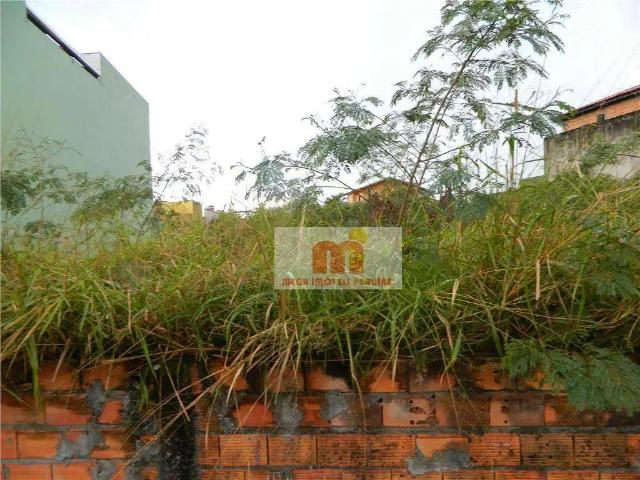 Terreno / Lote para Venda em Peruíbe/SP Cidade Nova Peruibe