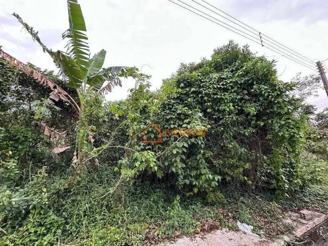 Terreno / Lote para Venda em Peruíbe/SP Cidade Nova Peruibe