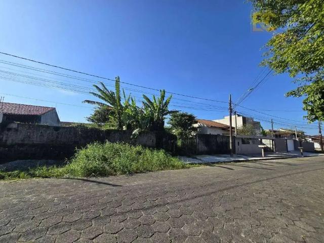 Terreno / Lote para Venda em Peruíbe/SP Cidade Nova Peruibe