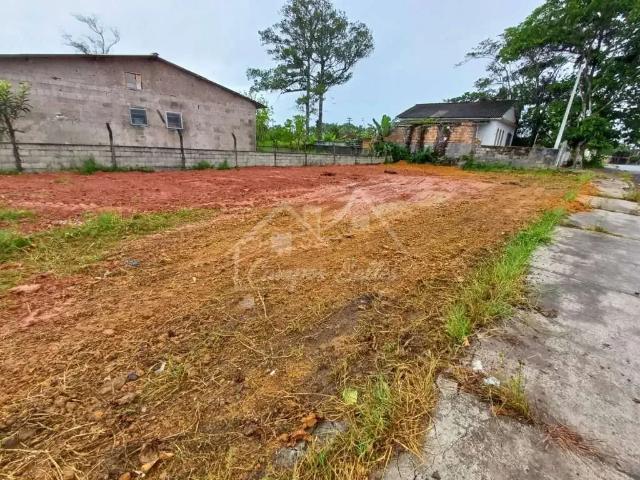 Terreno / Lote para Venda em Peruíbe/SP Cidade Nova Peruibe