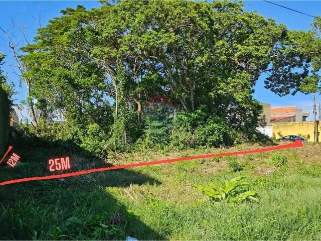 Terreno / Lote para Venda em Peruíbe/SP Cidade Nova Peruibe