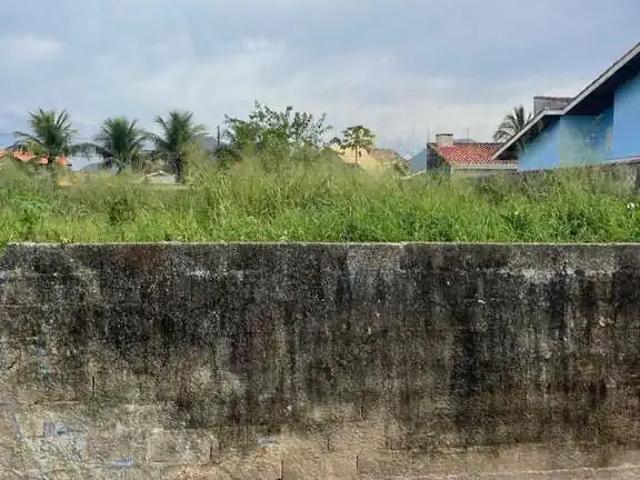Terreno / Lote para Venda em Peruíbe/SP Cidade Nova Peruibe