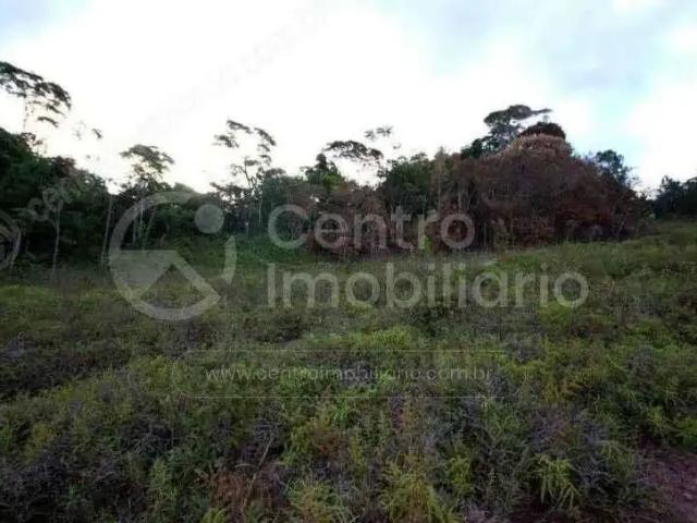 Terreno / Lote para Venda em Peruíbe/SP Cidade Nova Peruibe