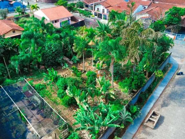 Terreno / Lote para Venda em Peruíbe/SP Cidade Nova Peruibe
