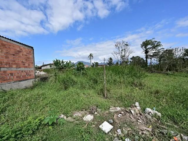 Terreno / Lote para Venda em Peruíbe/SP Cidade Nova Peruibe