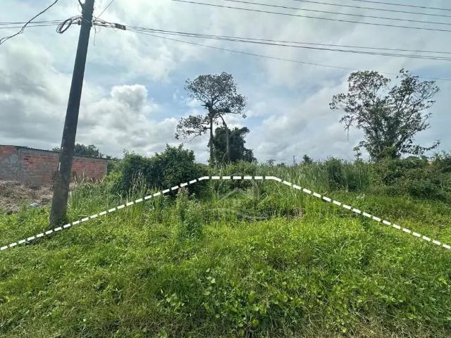 Terreno / Lote para Venda em Peruíbe/SP Cidade Nova Peruibe