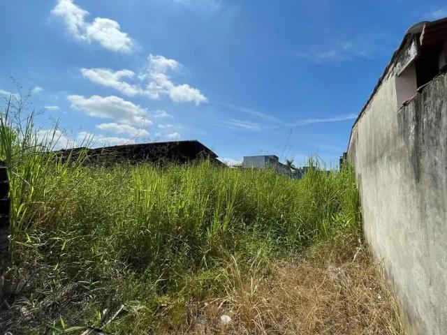 Terreno / Lote para Venda em Peruíbe/SP Cidade Nova Peruibe