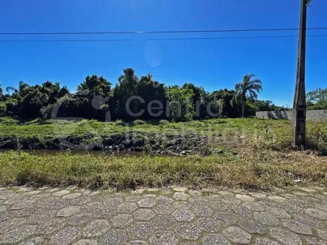 Terreno / Lote para Venda em Peruíbe/SP Cidade Balneária Nova Peruibe