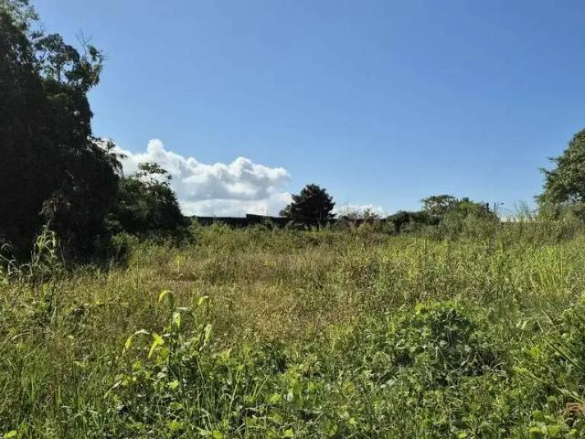 Terreno / Lote para Venda em Peruíbe/SP Bougainvillee V