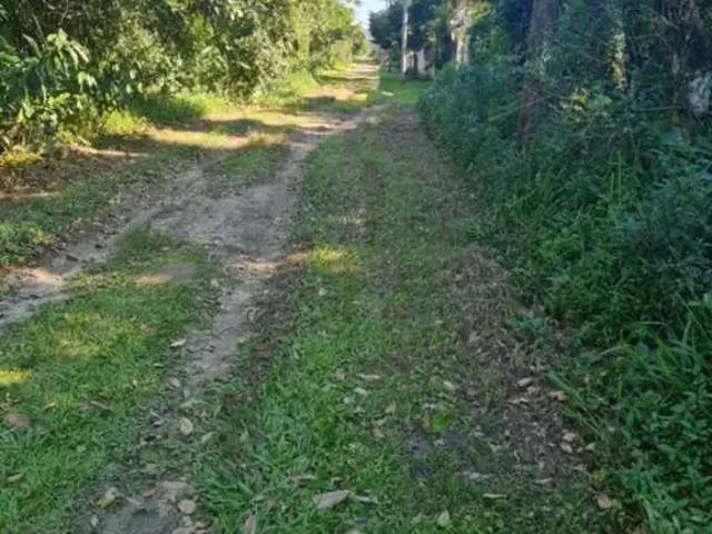 Terreno / Lote para Venda em Peruíbe/SP Balneário Garça Vermelha