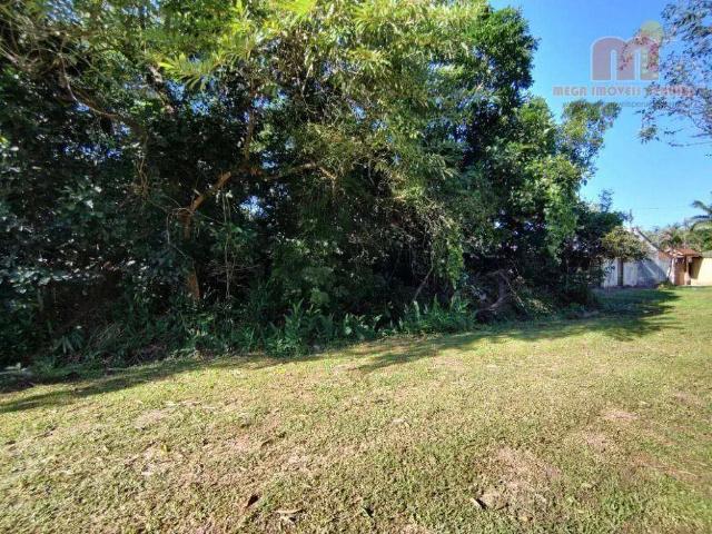 Terreno / Lote para Venda em Peruíbe/SP Balneário Garça Vermelha