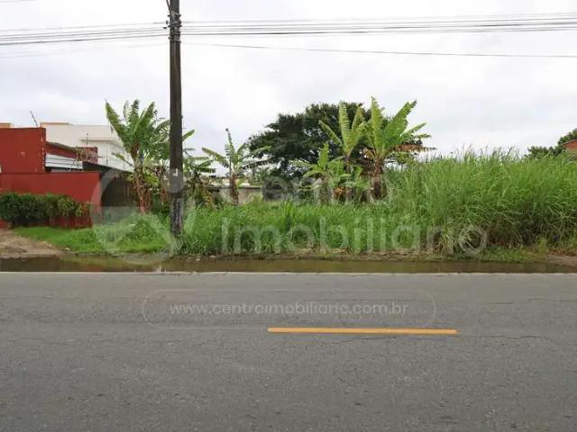 Terreno / Lote para Venda em Peruíbe/SP Balneário Josedy