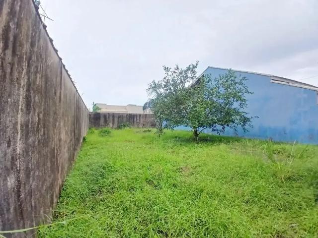 Terreno / Lote para Venda em Peruíbe/SP Balneário Josedy