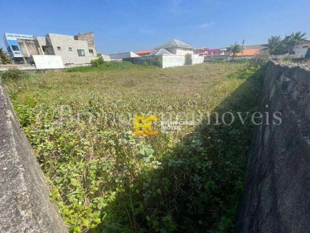 Terreno / Lote para Venda em Peruíbe/SP Balneário Josedy