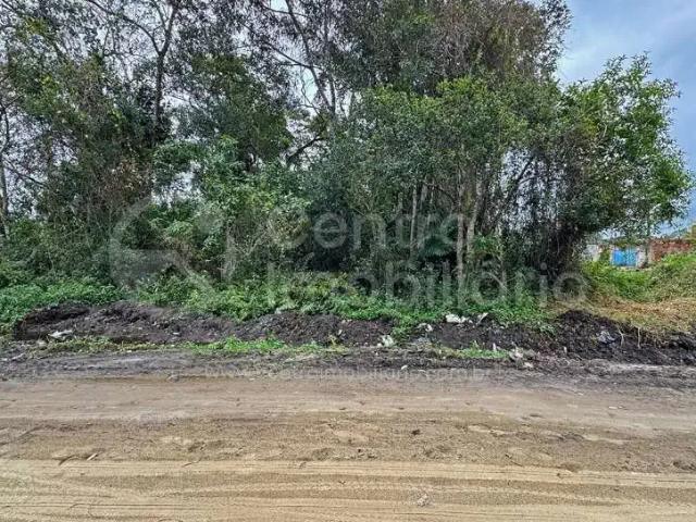 Terreno / Lote para Venda em Peruíbe/SP Balneário Josedy