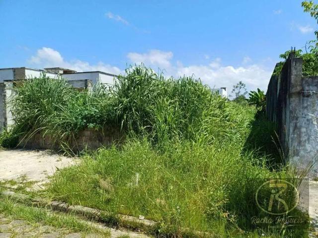 Terreno / Lote para Venda em Peruíbe/SP Balneário Josedy