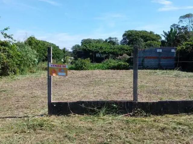 Terreno / Lote para Venda em Peruíbe/SP Balneário Josedy