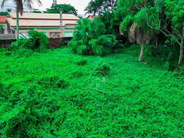 Terreno / Lote para Venda em Peruíbe/SP Balneário Stella Maris