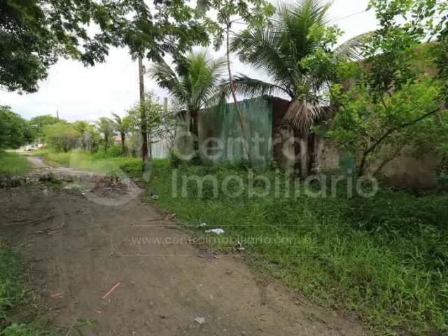 Terreno / Lote para Venda em Peruíbe/SP Balneário São João Batista