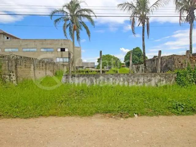 Terreno / Lote para Venda em Peruíbe/SP Balneário São João Batista
