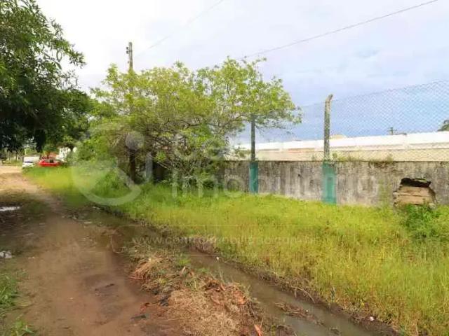 Terreno / Lote para Venda em Peruíbe/SP Balneário São João Batista