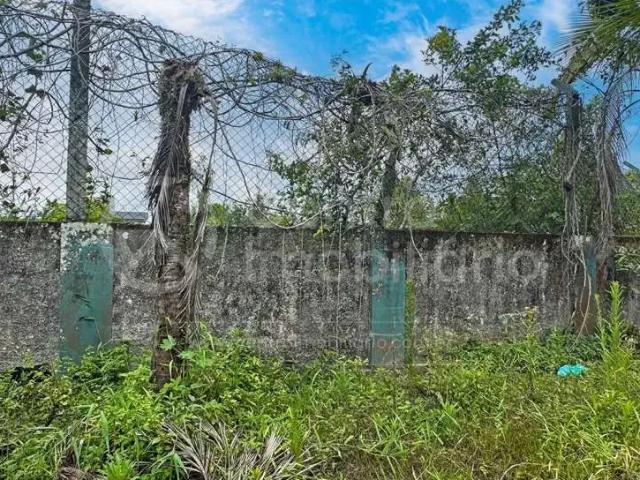 Terreno / Lote para Venda em Peruíbe/SP Balneário São João Batista