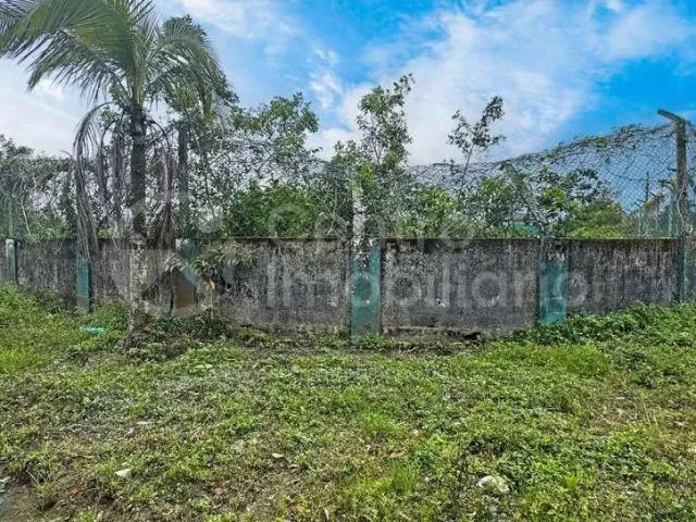 Terreno / Lote para Venda em Peruíbe/SP Balneário São João Batista