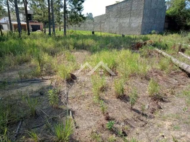 Terreno / Lote para Venda em Peruíbe/SP Balneário São João Batista