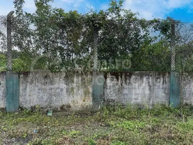 Terreno / Lote para Venda em Peruíbe/SP Balneário São João Batista