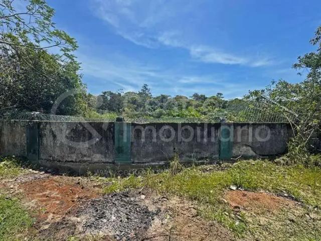 Terreno / Lote para Venda em Peruíbe/SP Balneário São João Batista