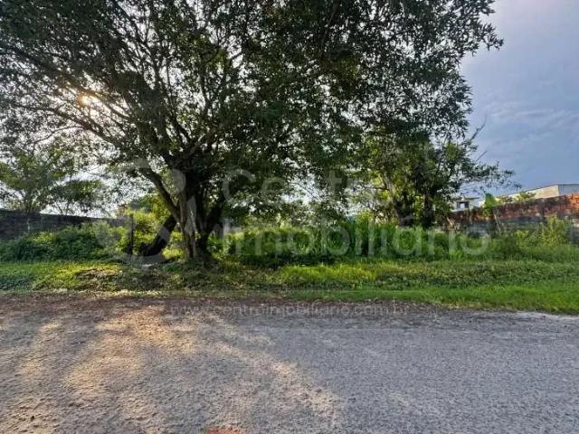 Terreno / Lote para Venda em Peruíbe/SP Balneário São João Batista