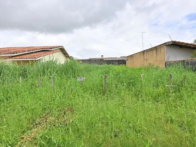 Terreno / Lote para Venda em Peruíbe/SP Balneário São João Batista II