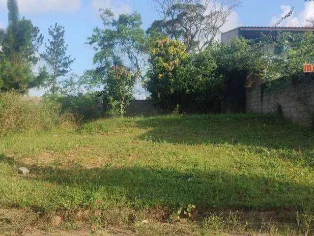 Terreno / Lote para Venda em Peruíbe/SP Balneário São João Batista III