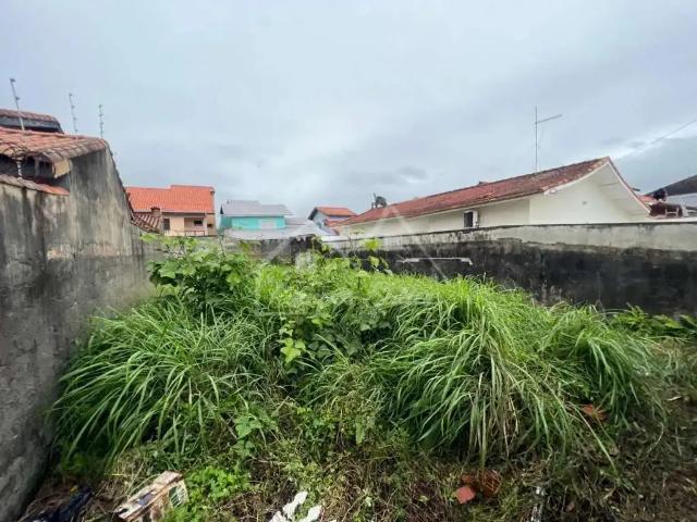 Terreno / Lote para Venda em Peruíbe/SP Balneario Sambura