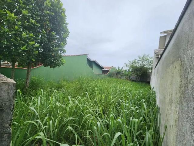 Terreno / Lote para Venda em Peruíbe/SP Balneário Três Marias