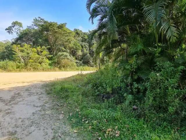 Terreno / Lote para Venda em Peruíbe/SP Guaraú
