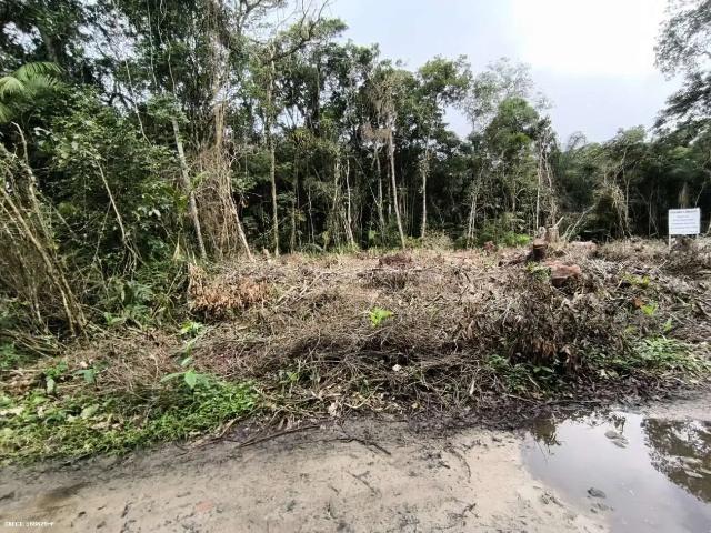 Terreno / Lote para Venda em Peruíbe/SP Guaraú
