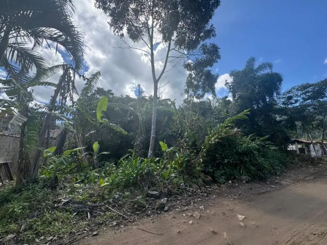 Terreno / Lote para Venda em Peruíbe/SP Guaraú