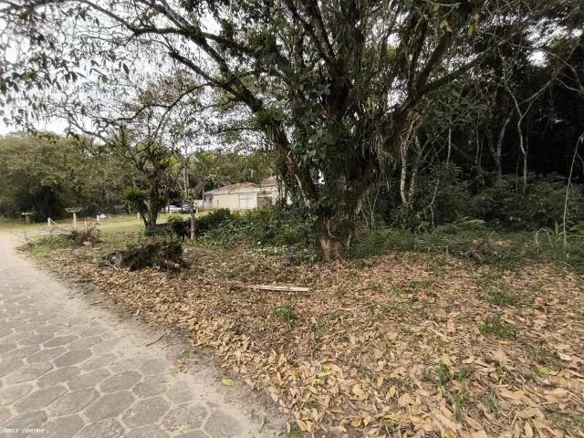 Terreno / Lote para Venda em Peruíbe/SP Guaraú