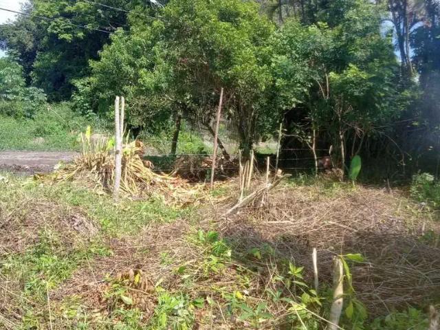 Terreno / Lote para Venda em Peruíbe/SP Estância Antonio Novaes