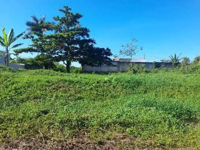 Terreno / Lote para Venda em Peruíbe/SP Estância Antonio Novaes