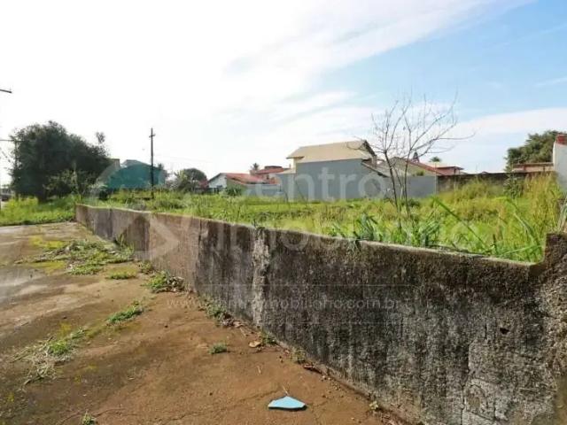 Terreno / Lote para Venda em Peruíbe/SP Estância Balneária Maria Helena Novaes