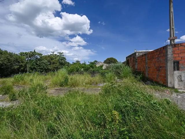 Terreno / Lote para Venda em Peruíbe/SP Estância Balneária Maria Helena Novaes